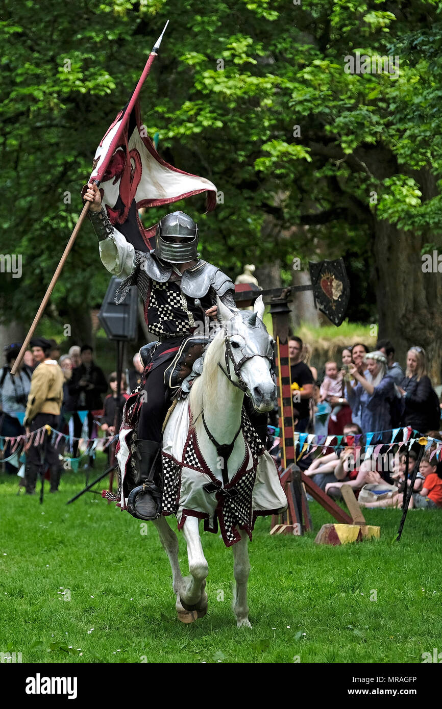 Jesters medieval hi-res stock photography and images - Alamy