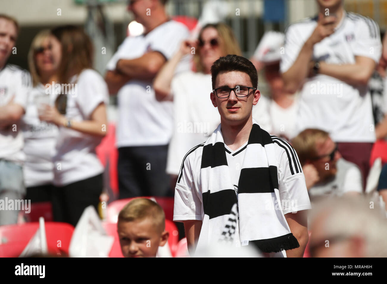 Fulham fan hi-res stock photography and images - Alamy