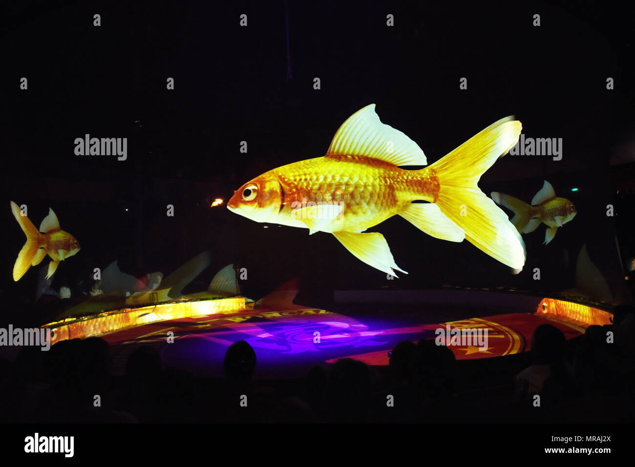 25 May 2018, Germany, Duesseldorf: Fish holograms floating through the ...