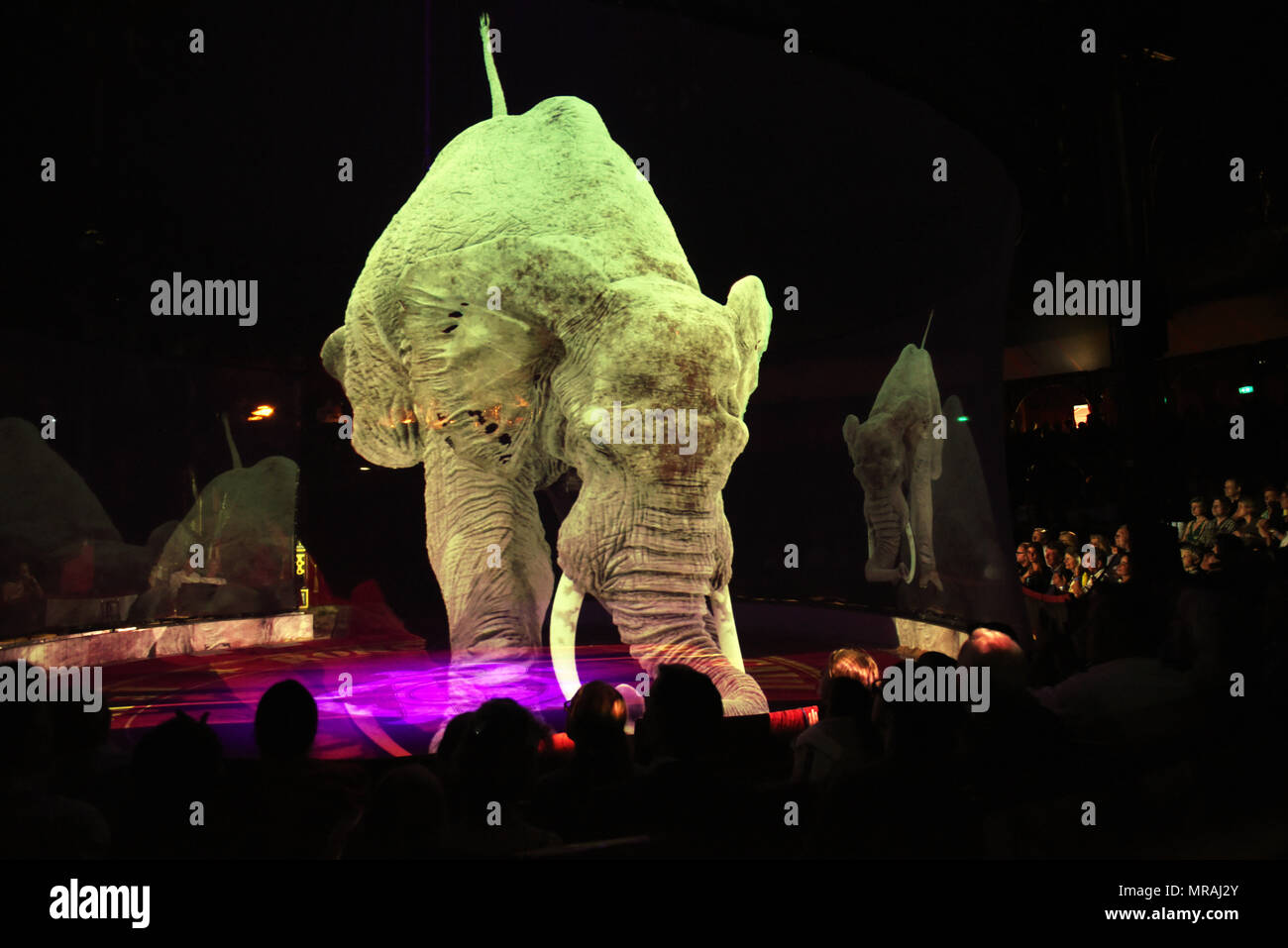 Elephant clowns hi-res stock photography and images - Alamy