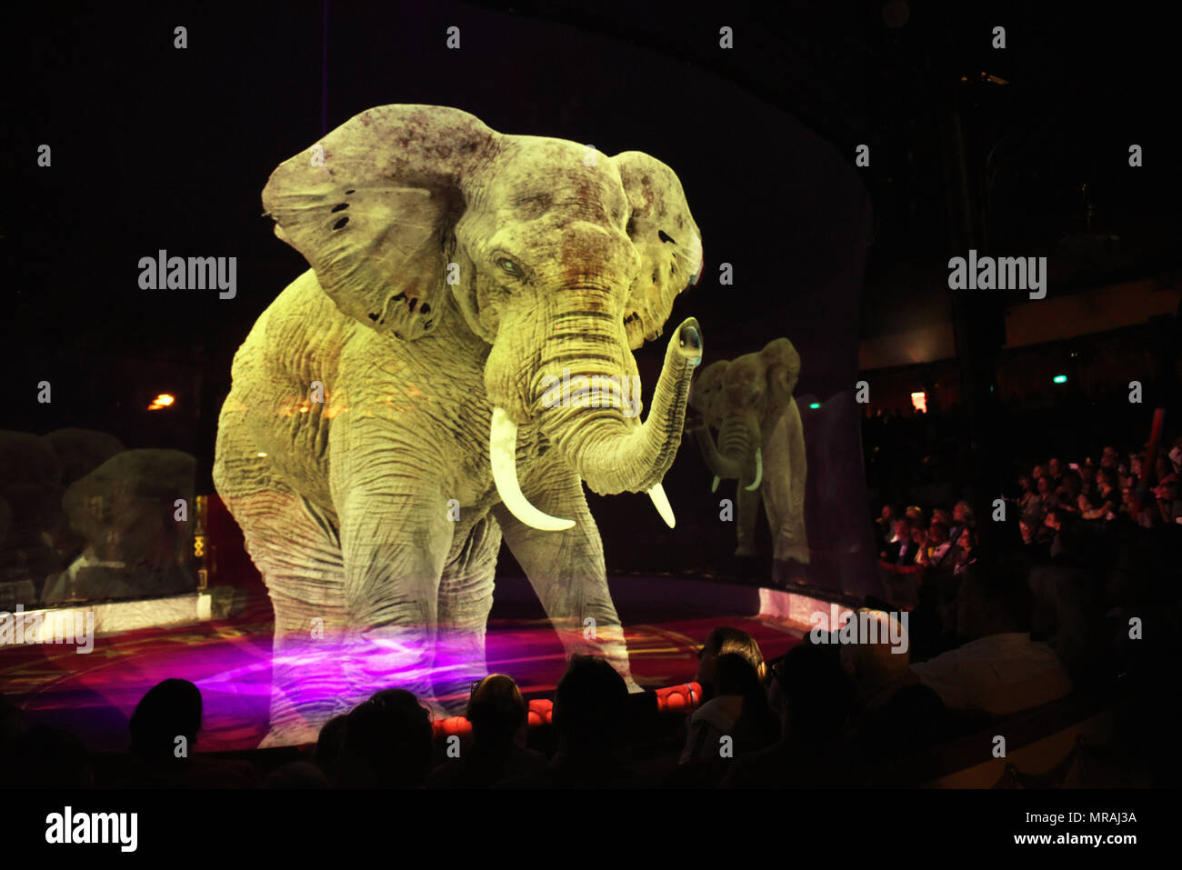 Elephant clowns hi-res stock photography and images - Alamy