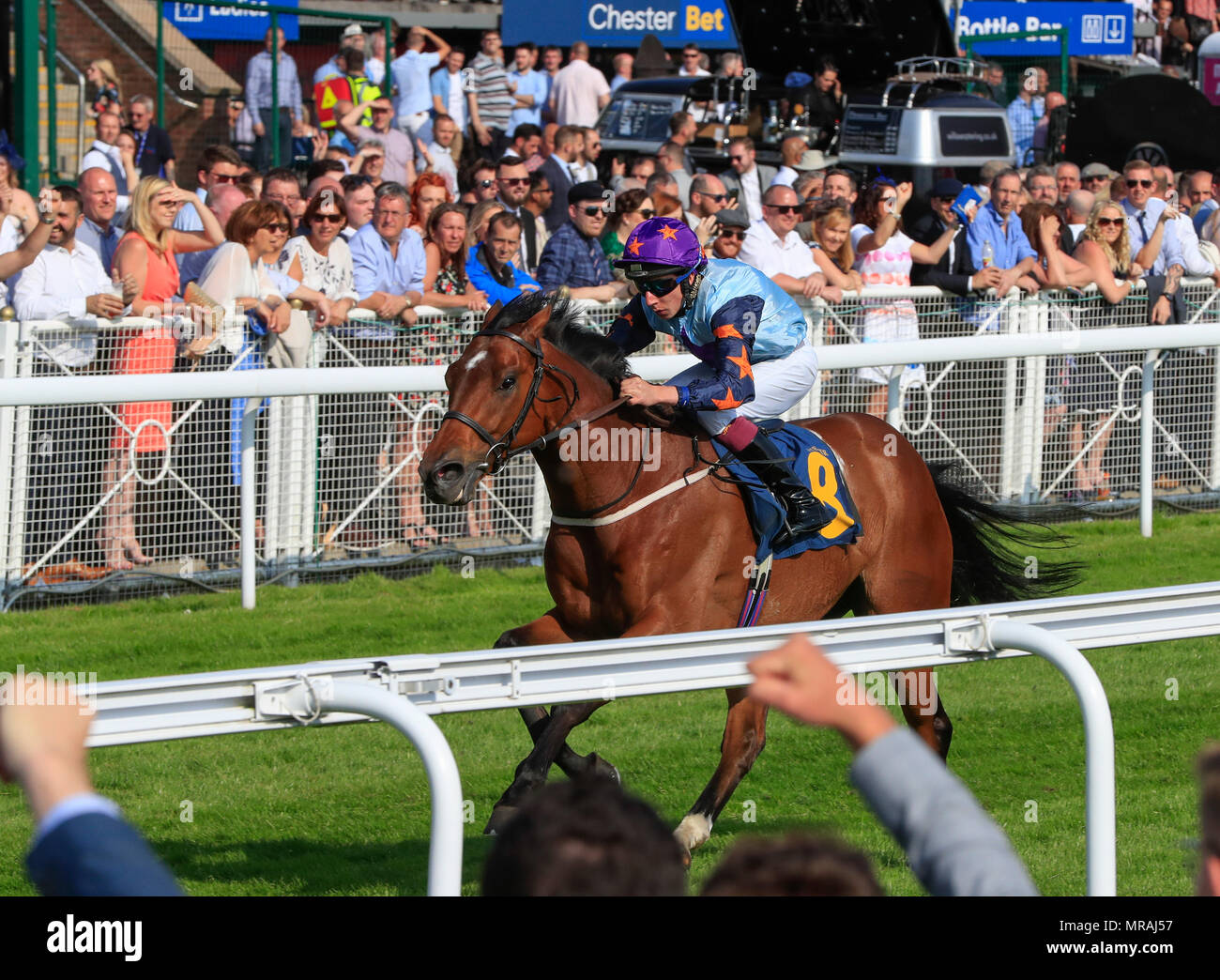 May sullivan hi-res stock photography and images - Alamy