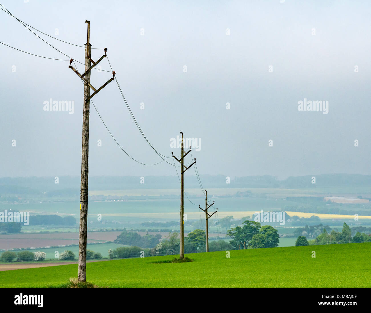 Electricity power lines cables poles hi-res stock photography and ...
