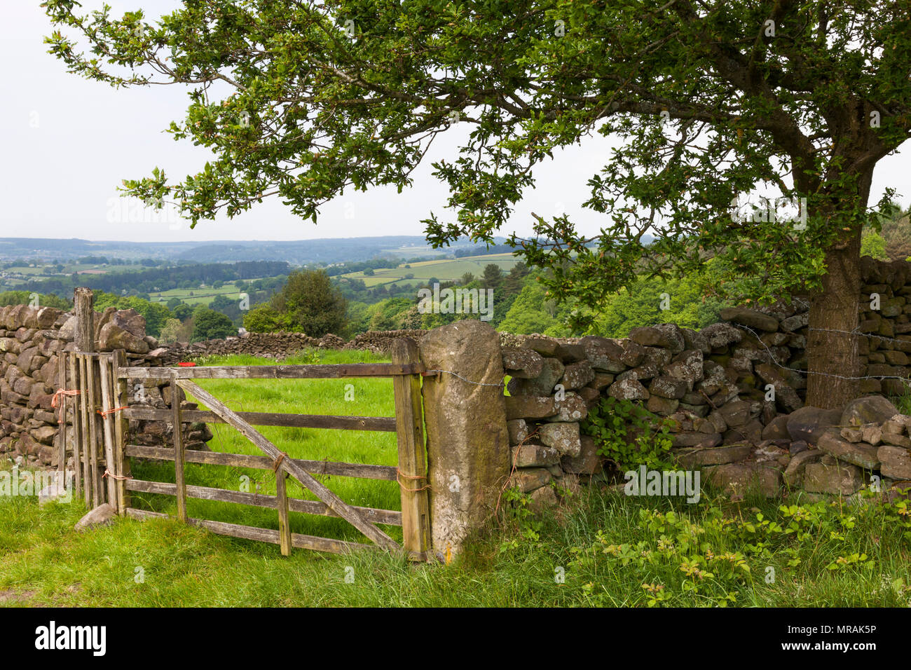 Old Rustic Farm Gates Who Knew? Photographs Of Rustic And Interesting