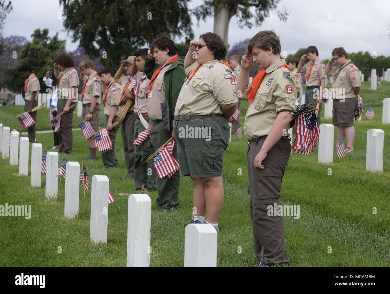 Scouts and salute hi-res stock photography and images - Alamy