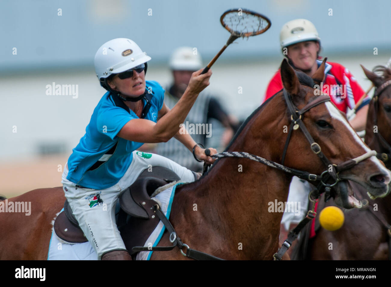 Hackland hi-res stock photography and images - Alamy