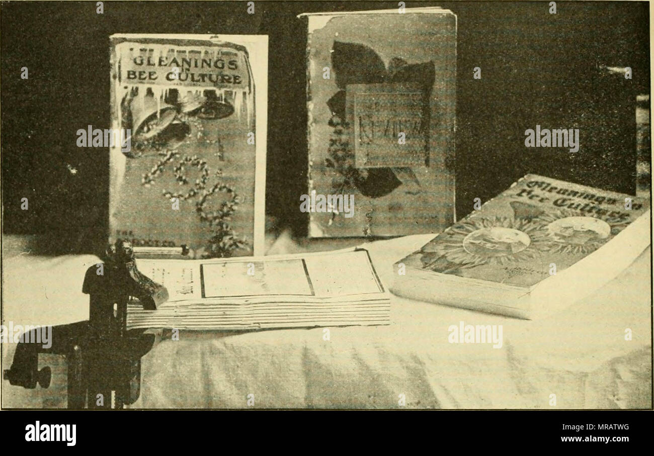 Bee culture history hi-res stock photography and images - Alamy