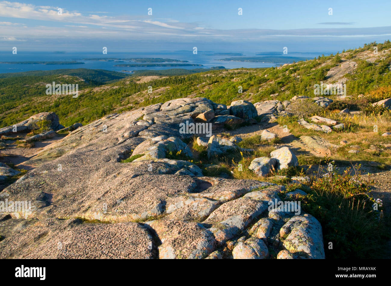 Cadillac Mountain outcrop, Acadia National Park, Maine Stock Photo - Alamy