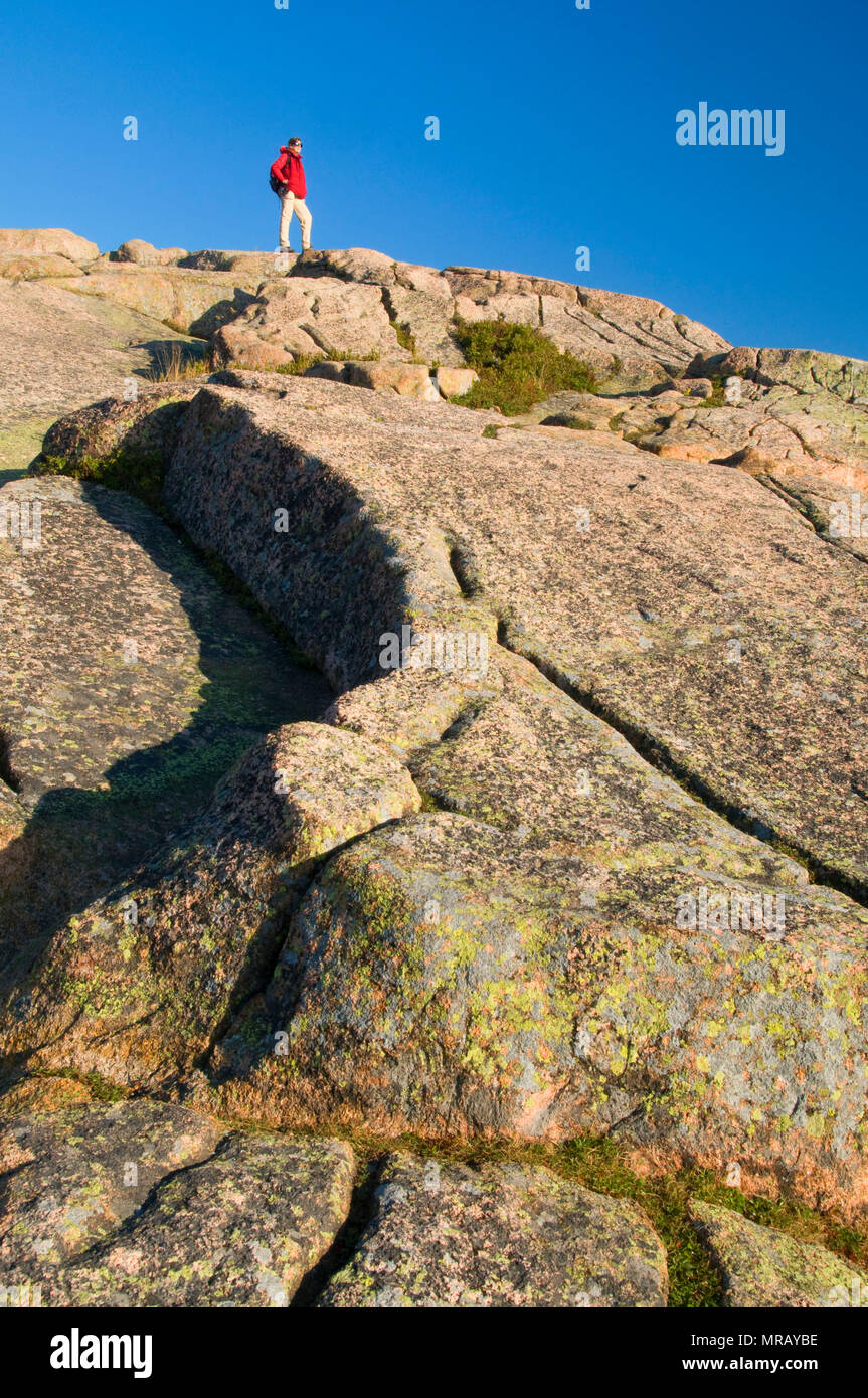 Cadillac Mountain outcrop, Acadia National Park, Maine Stock Photo - Alamy