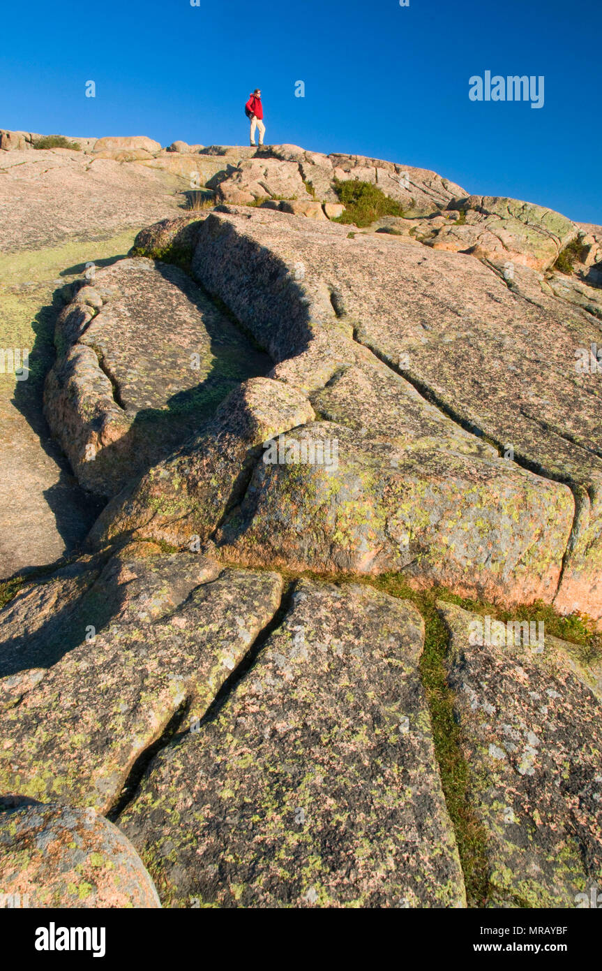 Cadillac Mountain outcrop, Acadia National Park, Maine Stock Photo - Alamy
