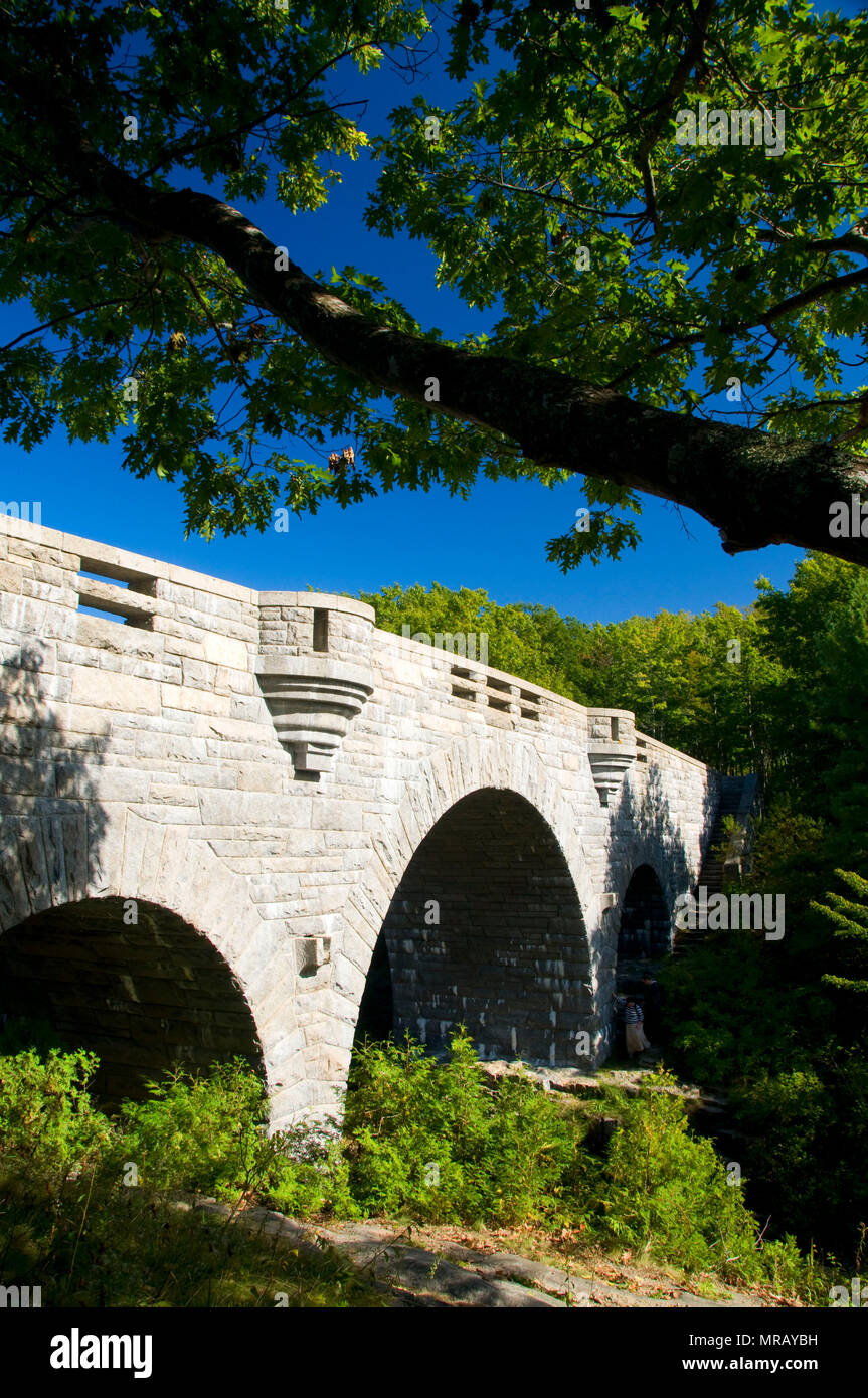 Duck Brook Bridge, Acadia National Park, Maine Stock Photo - Alamy