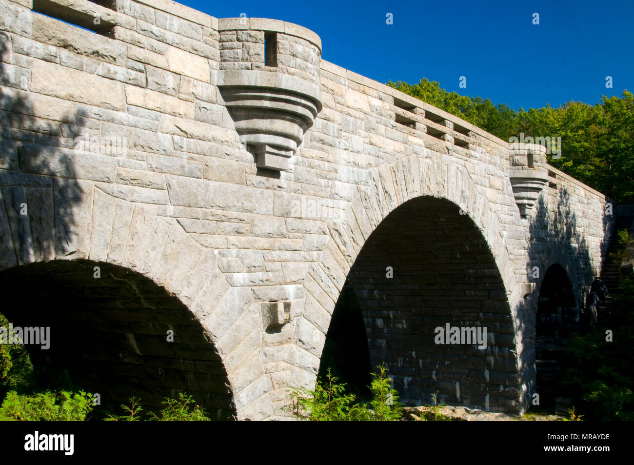 Duck Brook Bridge, Acadia National Park, Maine Stock Photo - Alamy