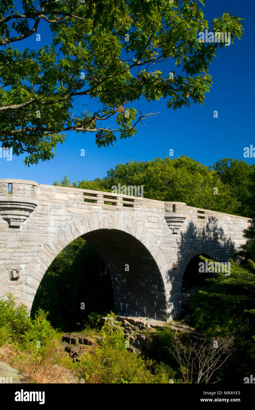 Duck Brook Bridge, Acadia National Park, Maine Stock Photo - Alamy