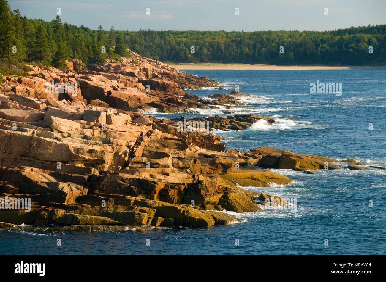 Ocean path trail hi-res stock photography and images - Alamy