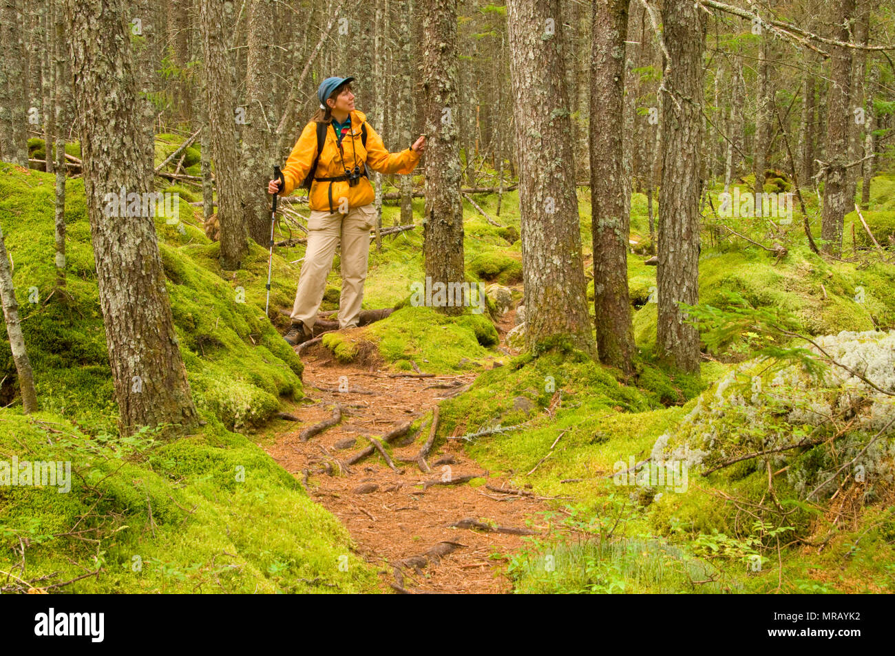 Baxter state park maine hi-res stock photography and images - Alamy