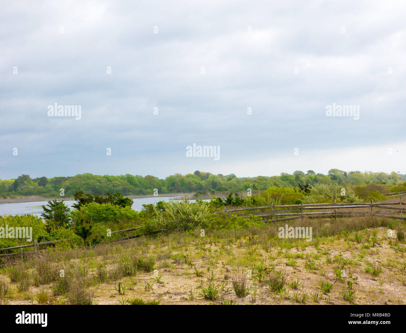 Summer landscape of a lake in Virginia beach, USA Stock Photo - Alamy