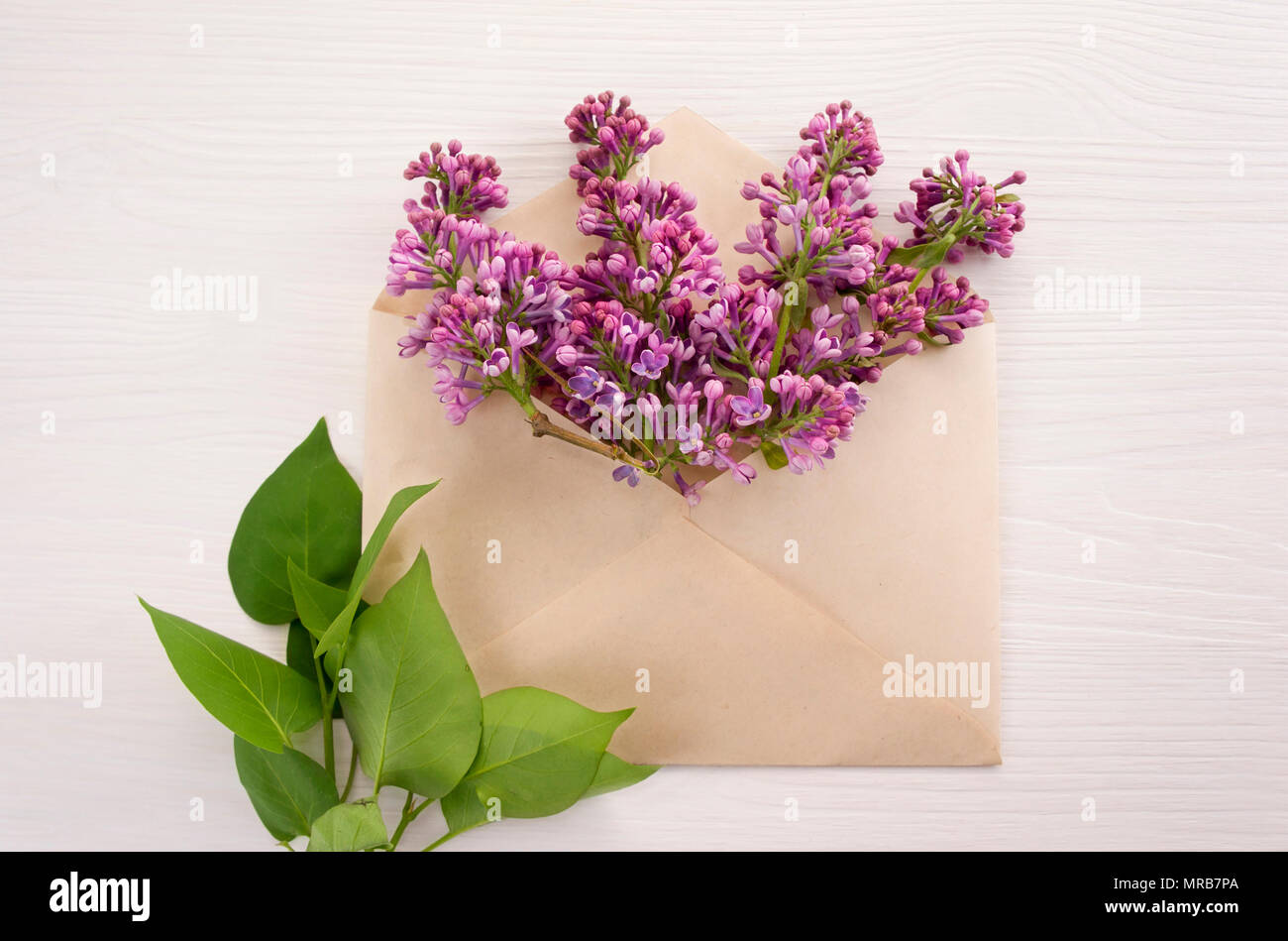 Colorful spring flowers in envelope, flower delivery concept Stock ...