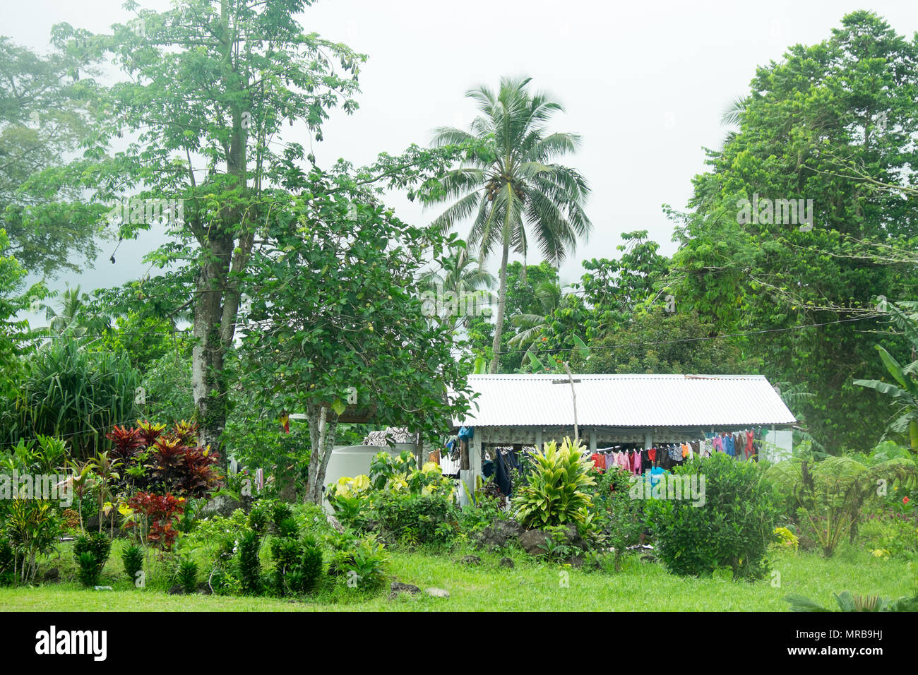 Plants, upolu, samoa hi-res stock photography and images - Alamy