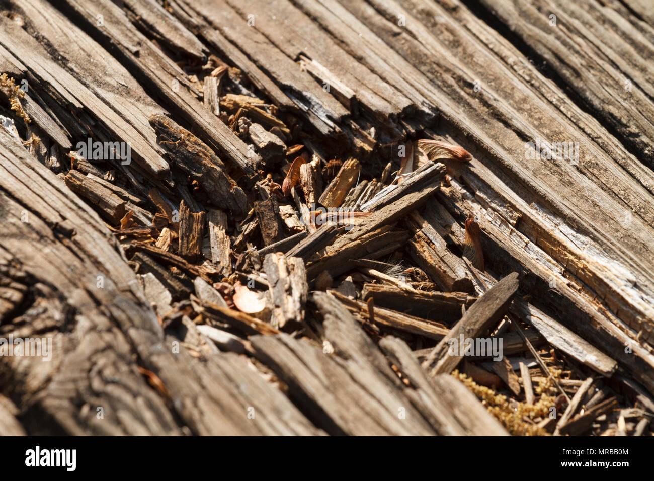 Damaged boards hi-res stock photography and images - Alamy