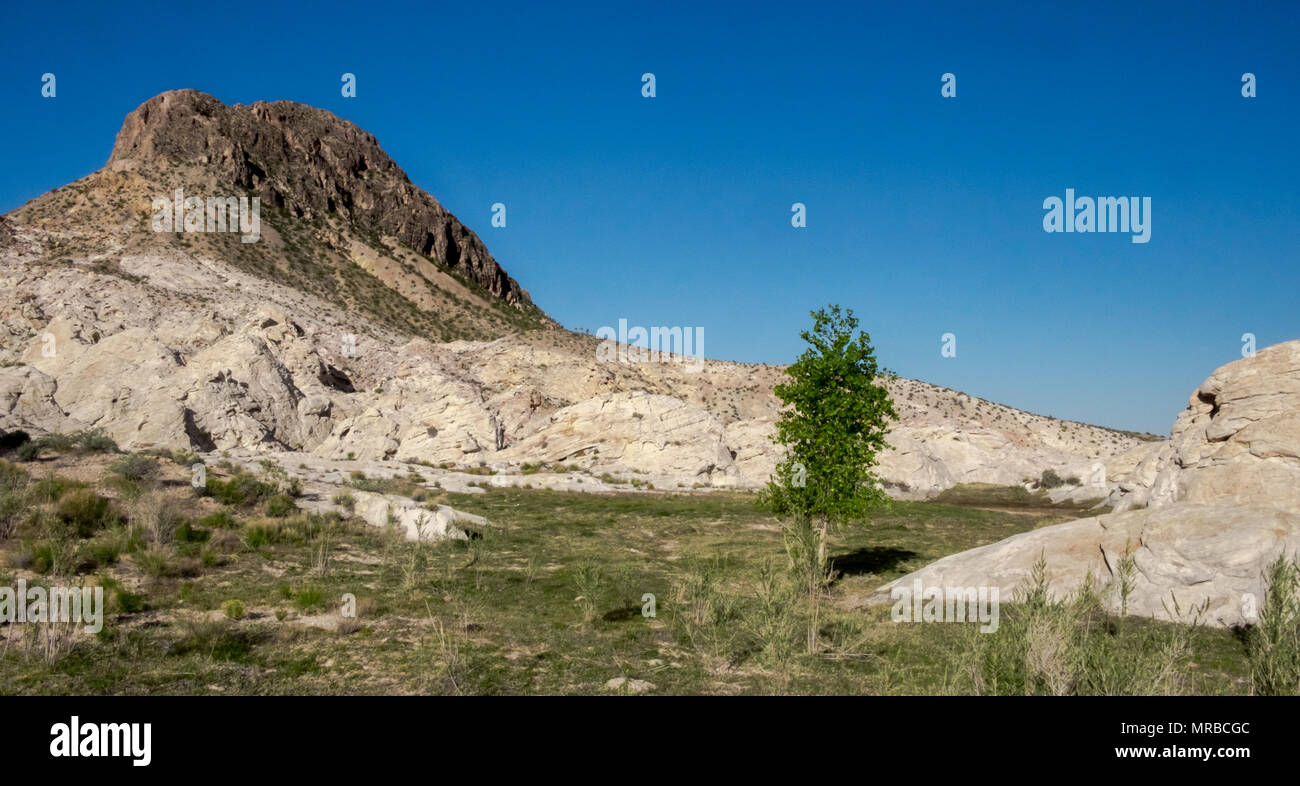 Gold butte national monument hi-res stock photography and images - Alamy