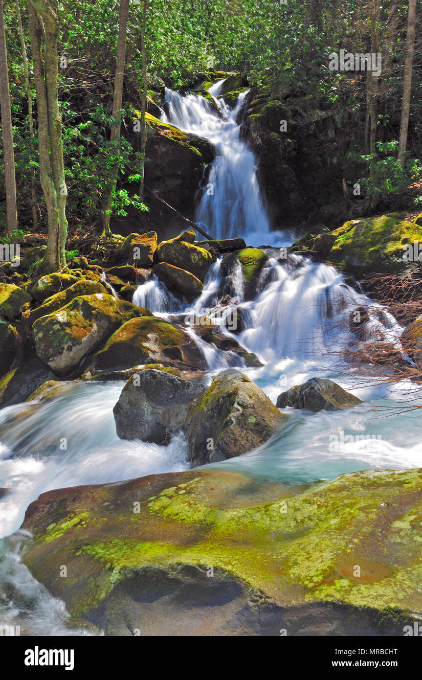 Mouse creek falls waterfall cascade hi-res stock photography and images ...