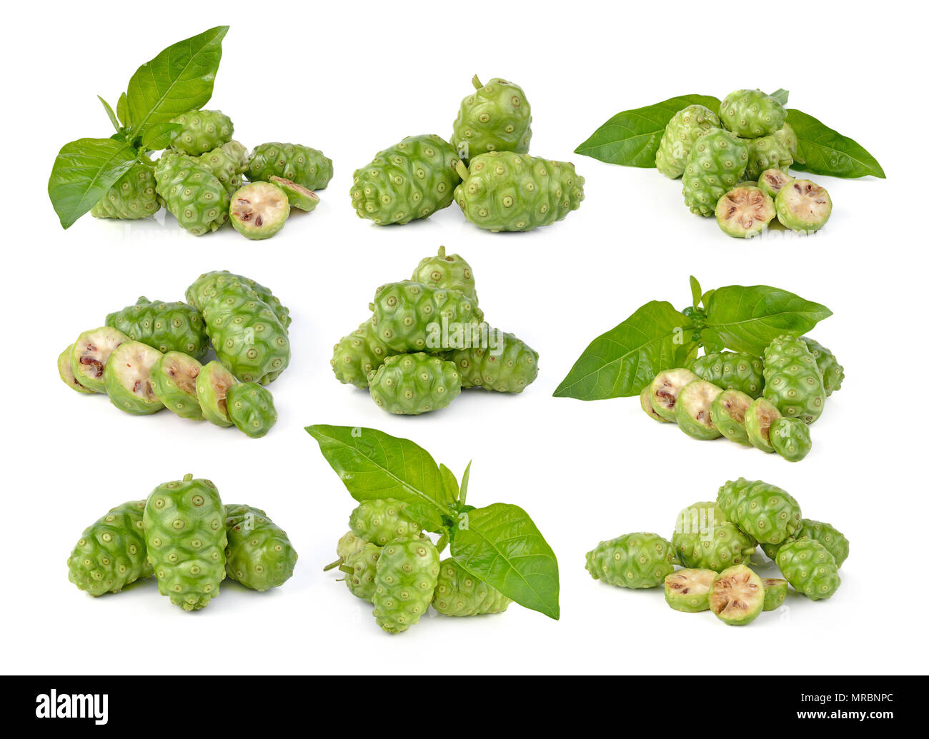 Great morinda isolated on white background Stock Photo - Alamy