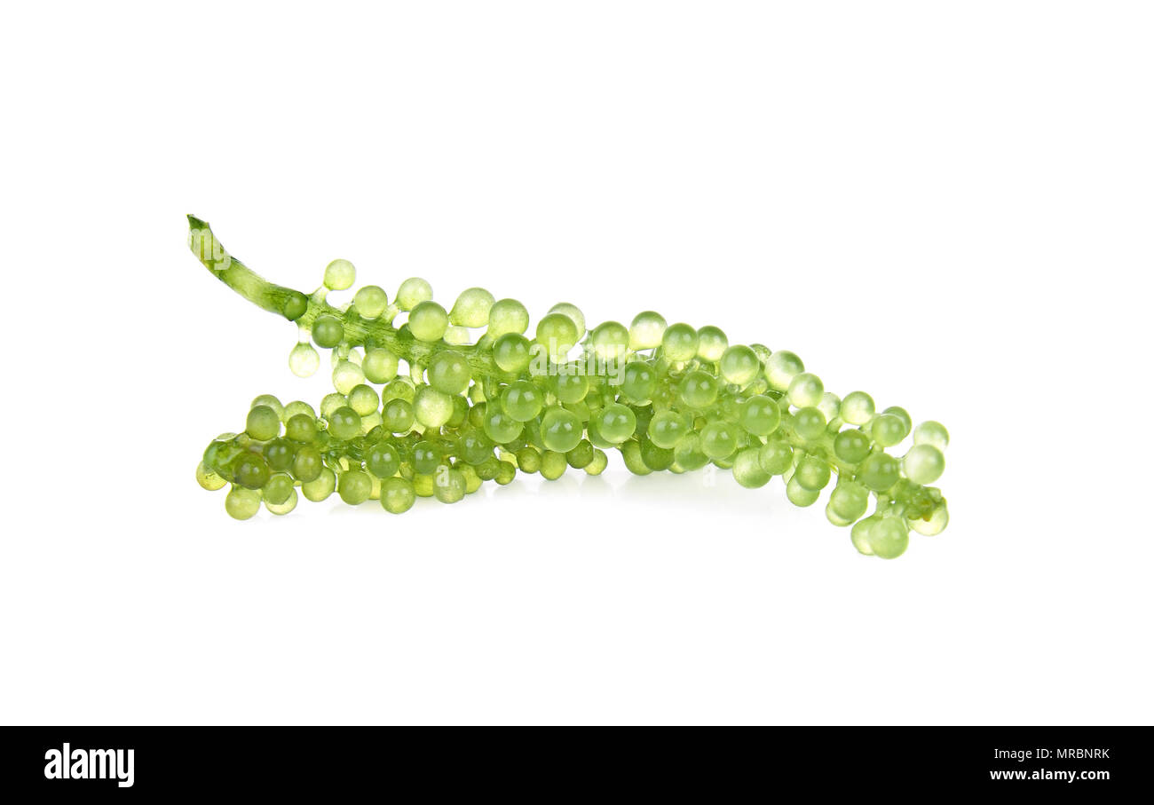 Underwater Sea Grapes