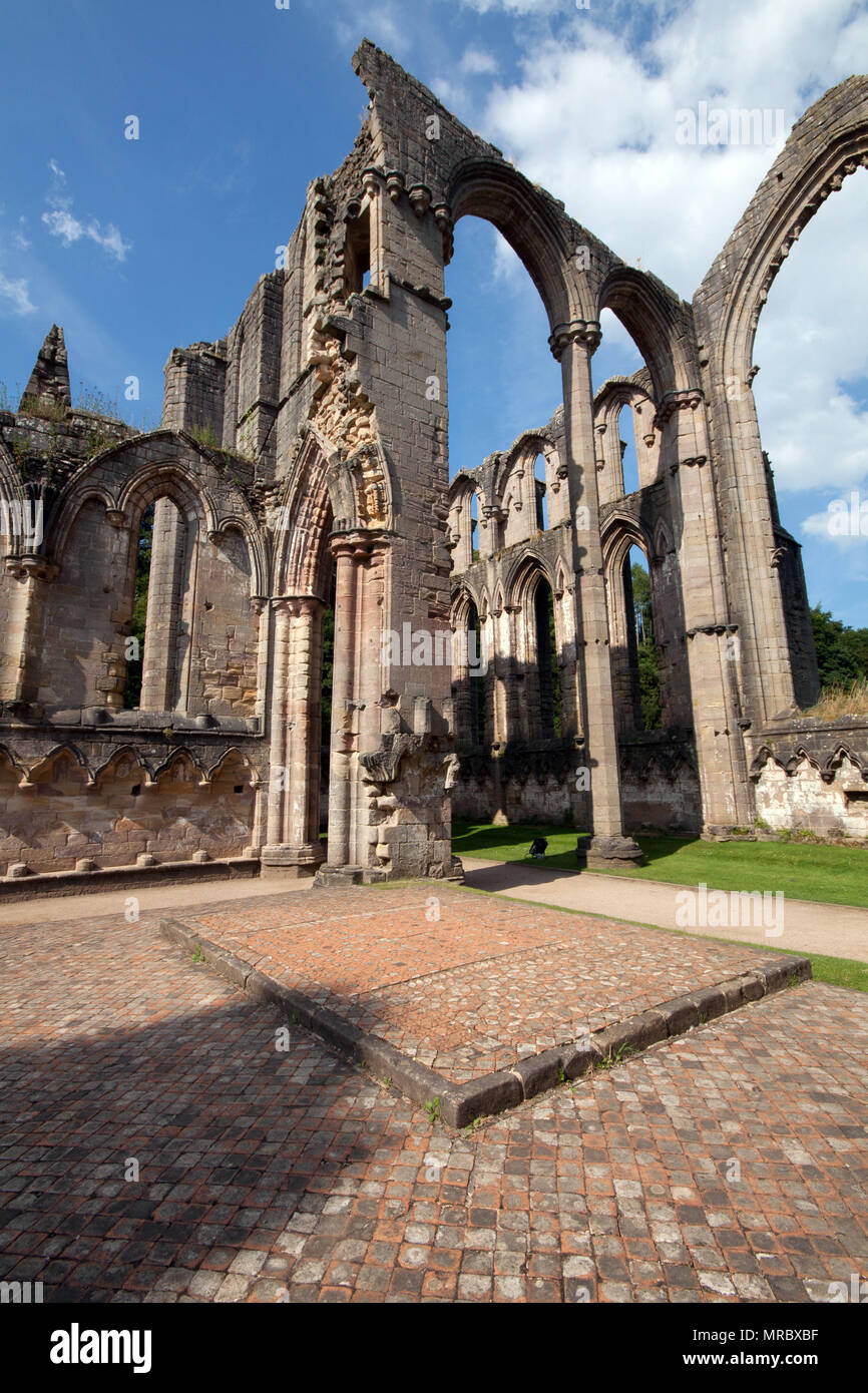 Gothic Cathedral Interior Ruins