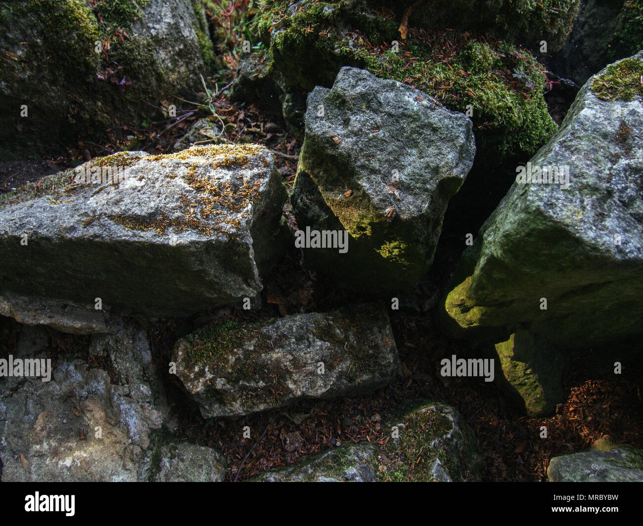 Square rocks covered with moss in the gardens of Fountains Abbey, Ripon ...