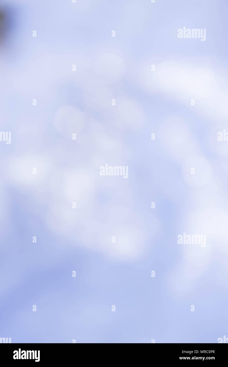 White abstract backgrond hi-res stock photography and images - Alamy