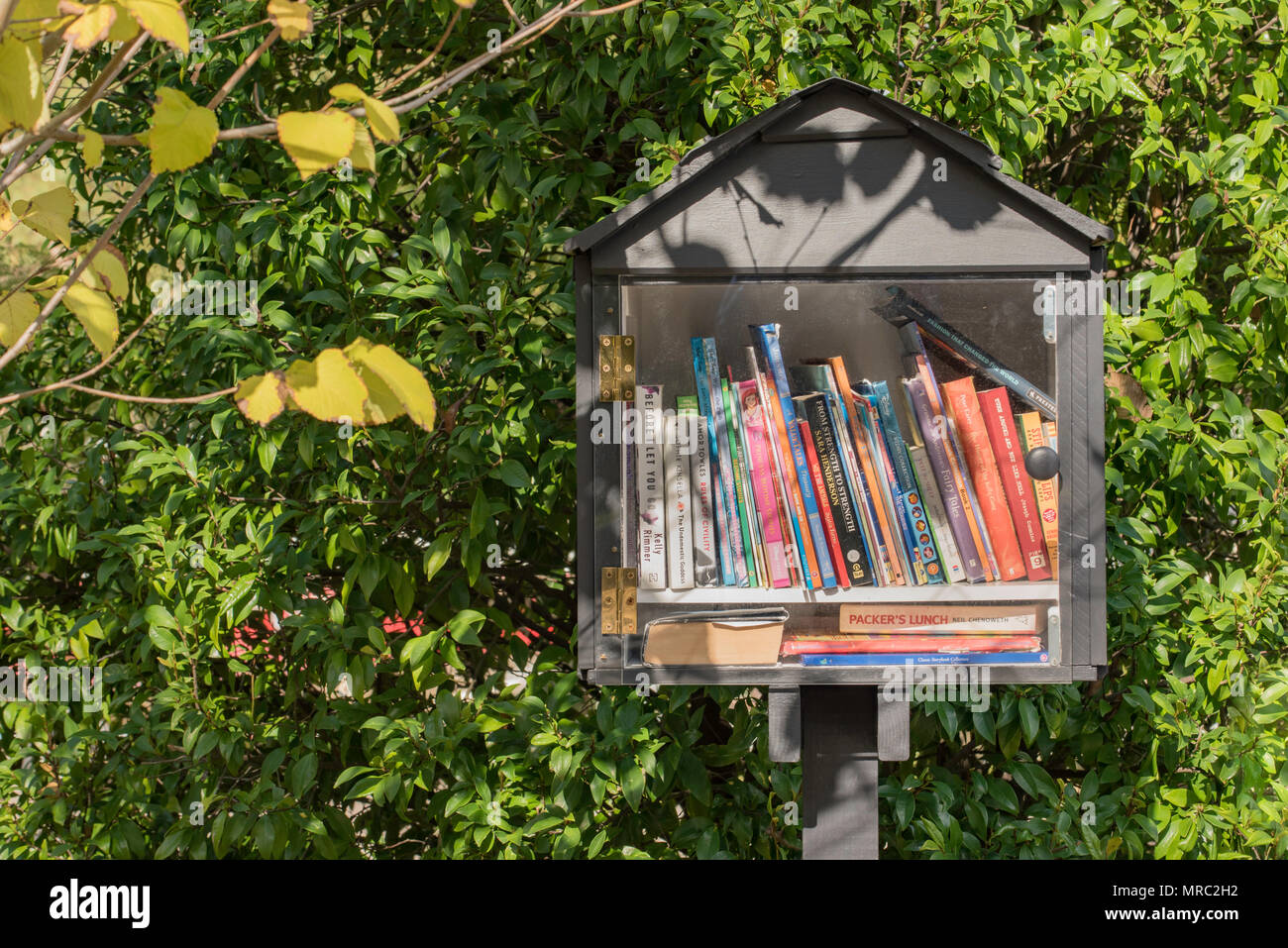 Mini Book Library at Mattie Delgado blog