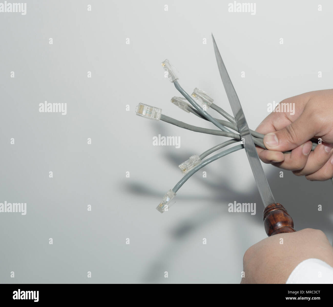 cuting many computer cables on white background Stock Photo - Alamy