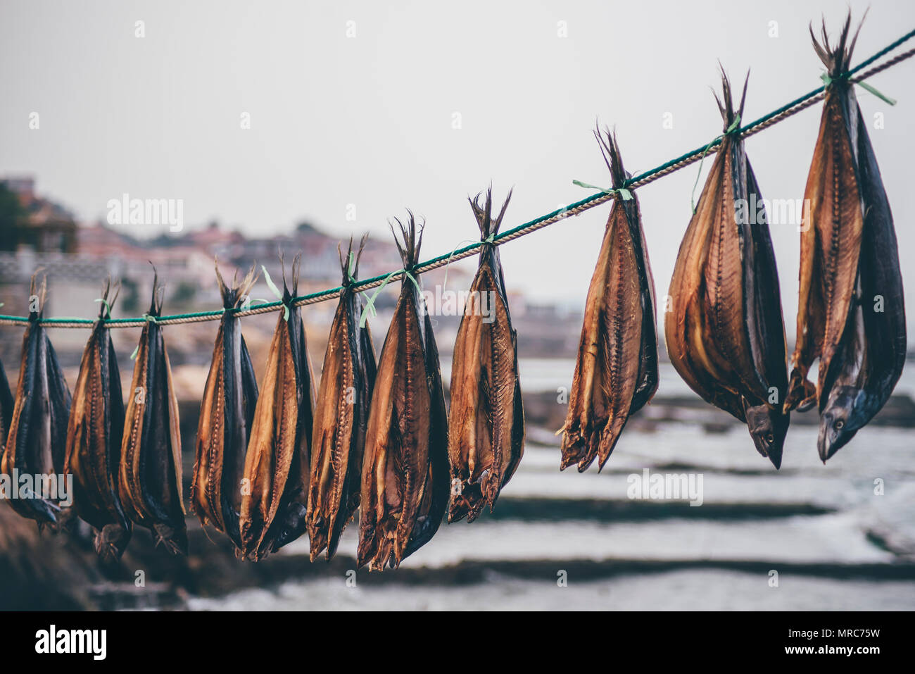 Salted fishes hang on the rope Stock Photo - Alamy