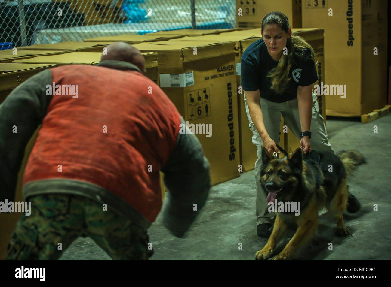 Military policemen conduct military working dog bite training aboard ...