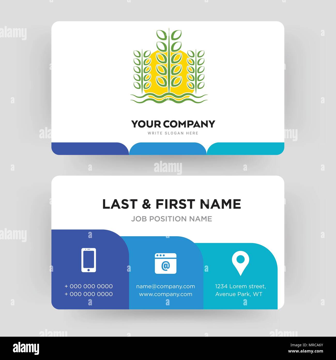 paddy, business card design template, Visiting for your company, Modern ...
