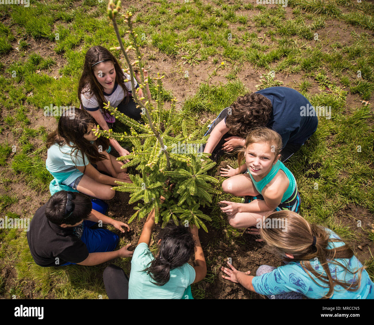 School children planting trees hi-res stock photography and images - Alamy
