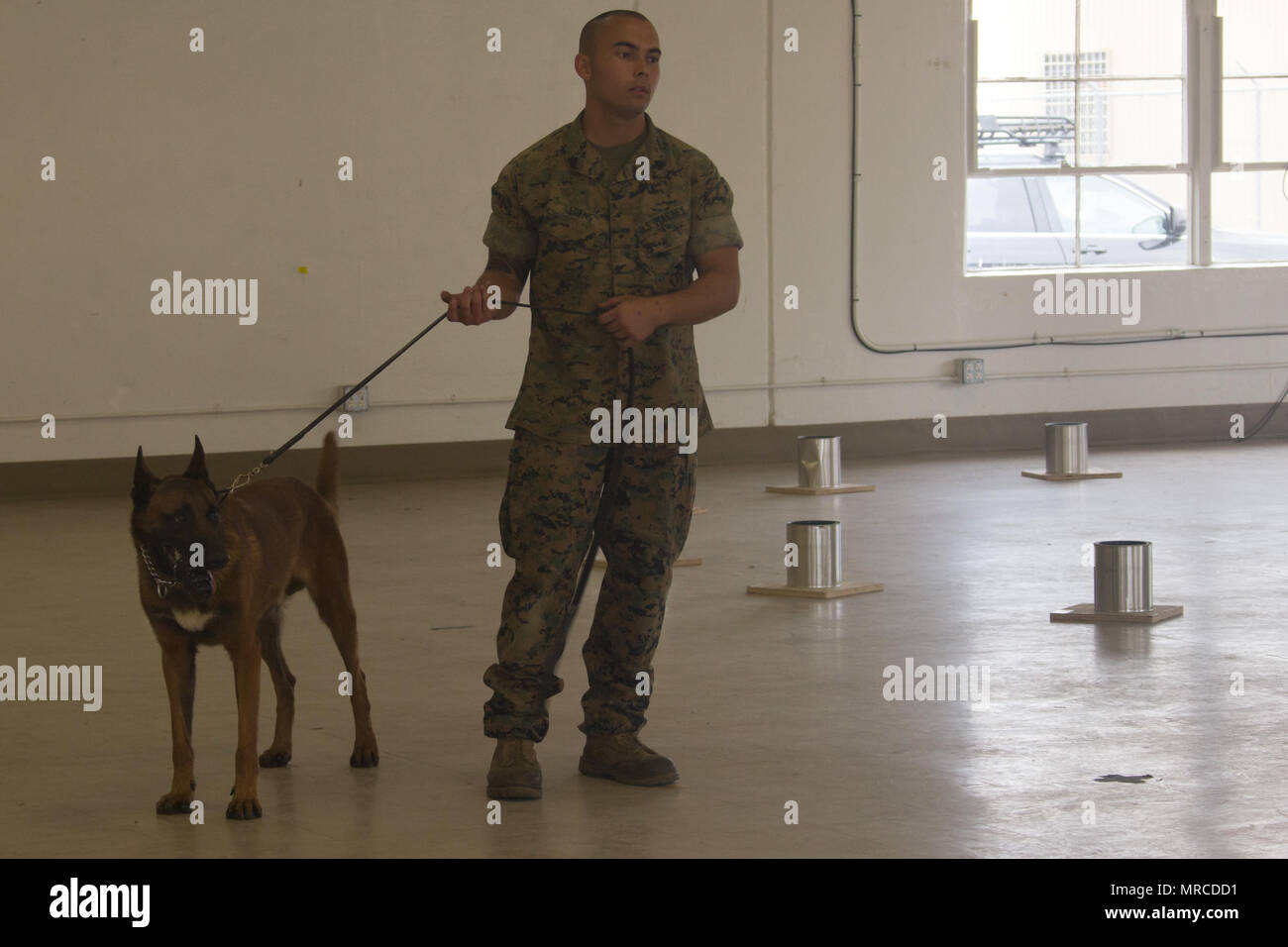 U.S. Marine Corps Sergeant Shawn Edens of 1st Law Enforcement Battalion ...