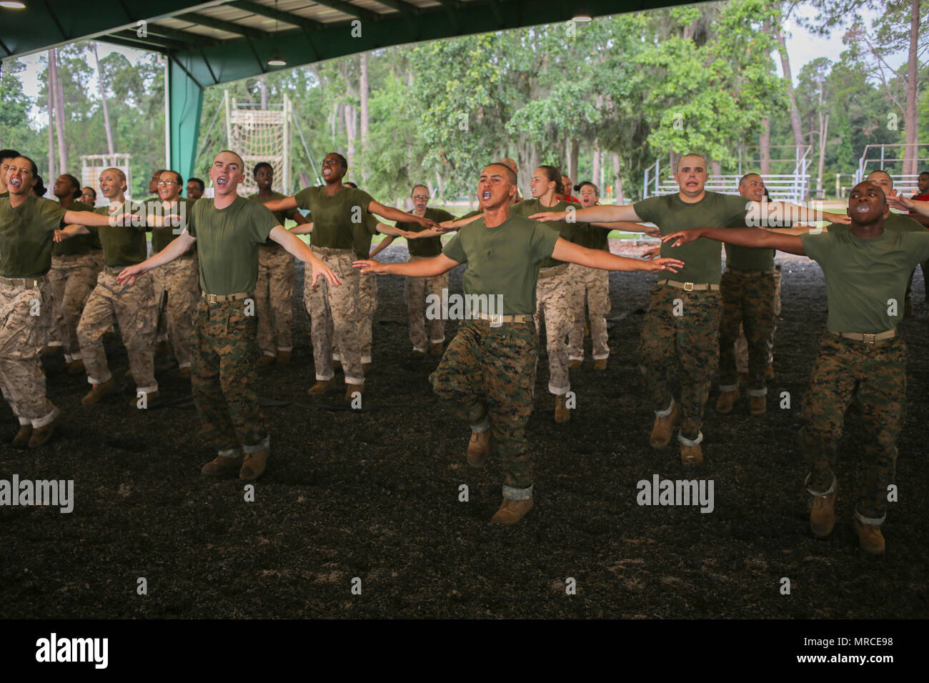 U.S. Marine Corps recruits with Papa Company, 4th Recruit Training ...