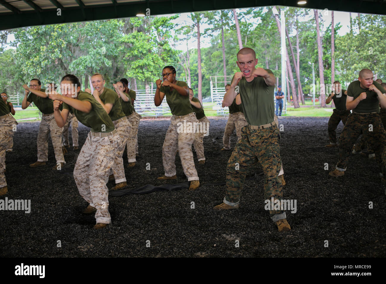 U.S. Marine Corps recruits with Papa Company, 4th Recruit Training ...