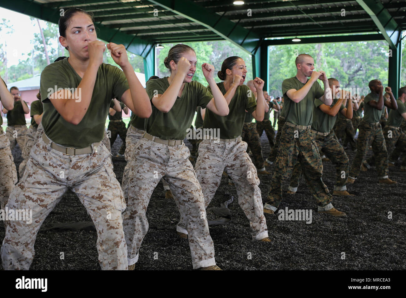 U.S. Marine Corps recruits with Papa Company, 4th Recruit Training ...