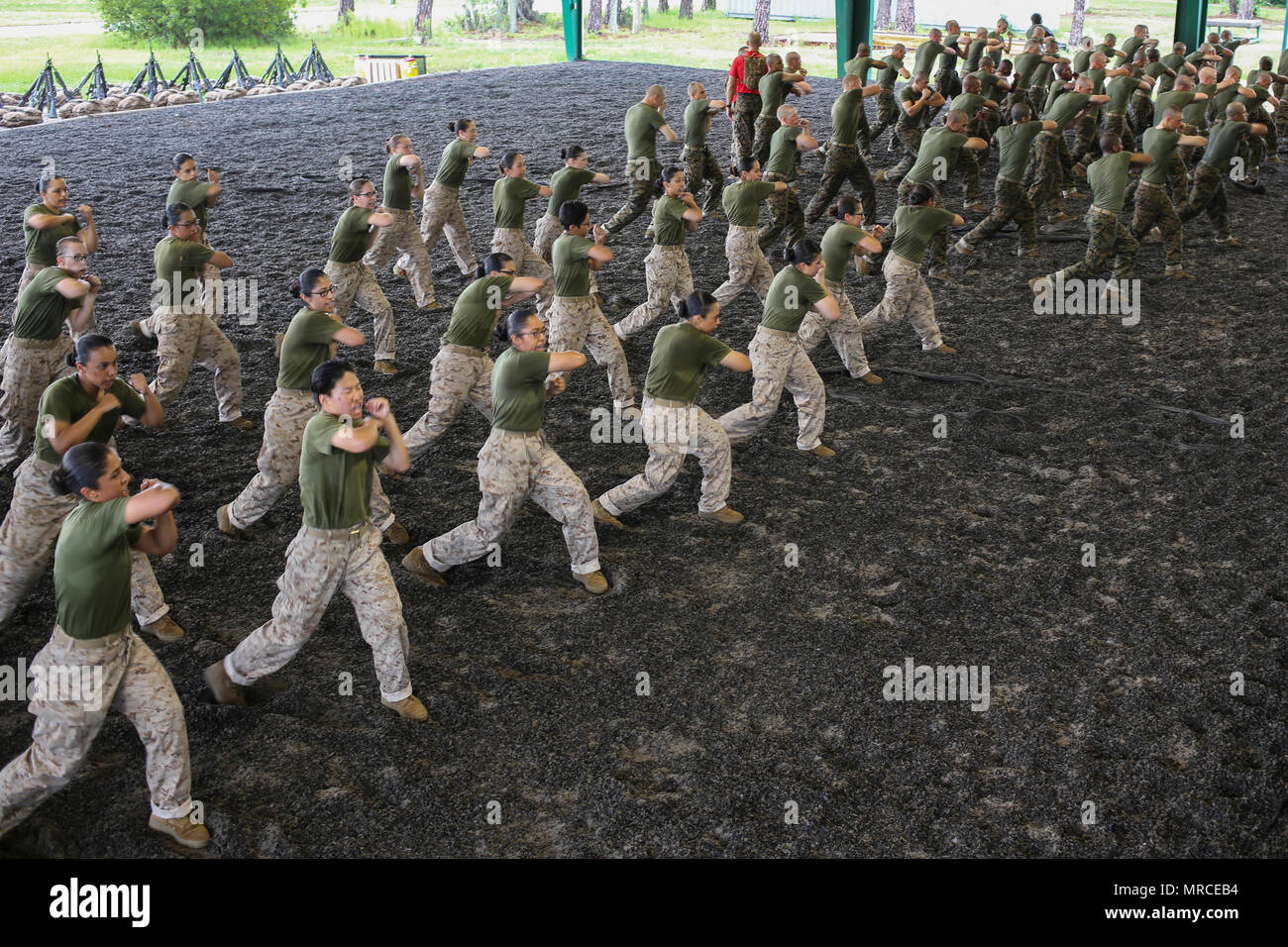 4th Recruit Training Battalion High Resolution Stock Photography and ...
