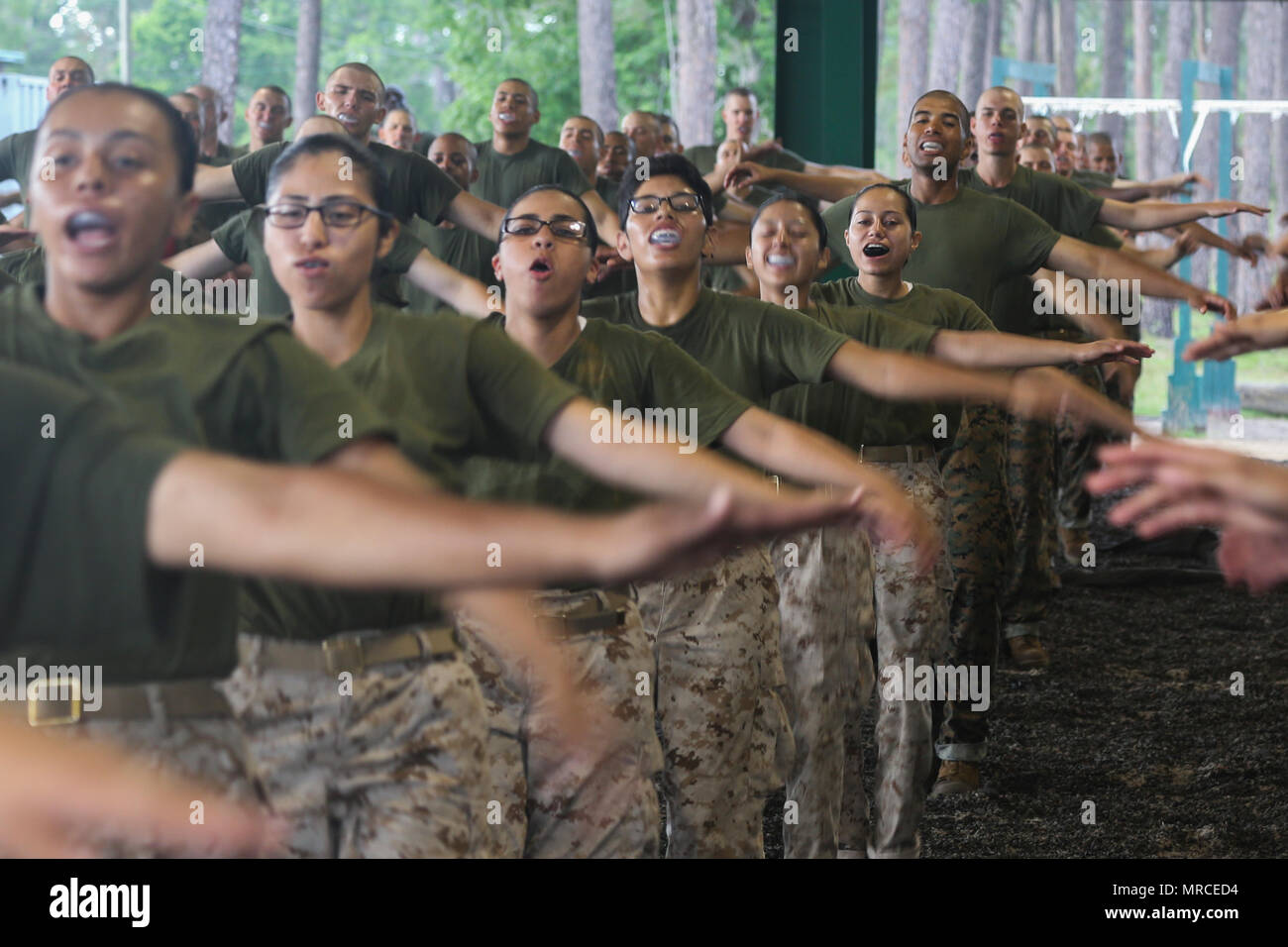 U.S. Marine Corps recruits with Papa Company, 4th Recruit Training ...