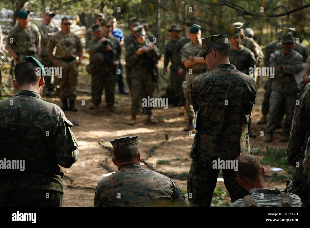 Layout facilitates hi-res stock photography and images - Alamy