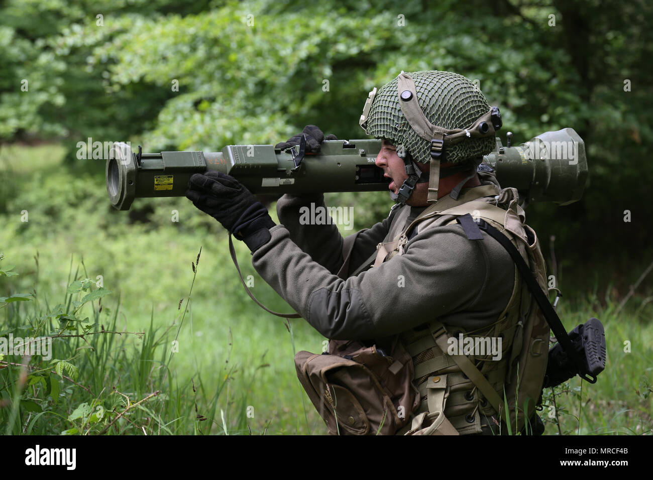 A Hungarian soldier of 2nd company, 3rd Bercsenyi Miklos Infantry ...