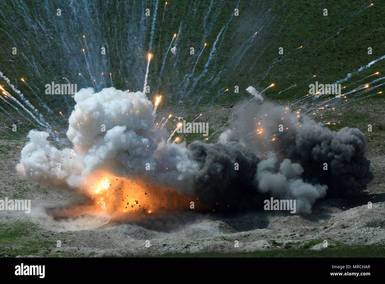 11 eod regiment hi-res stock photography and images - Alamy