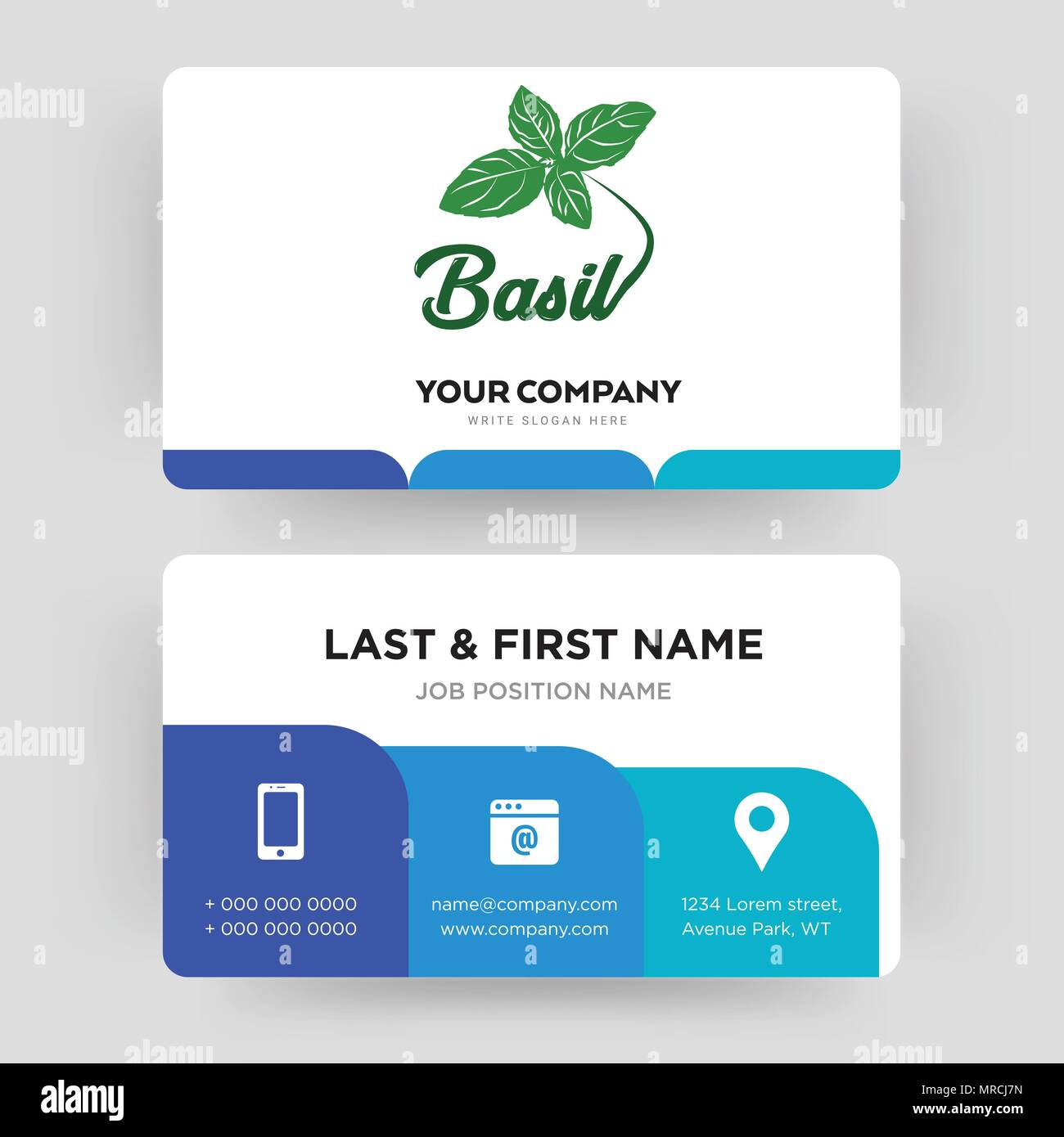 basil, business card design template, Visiting for your company, Modern ...