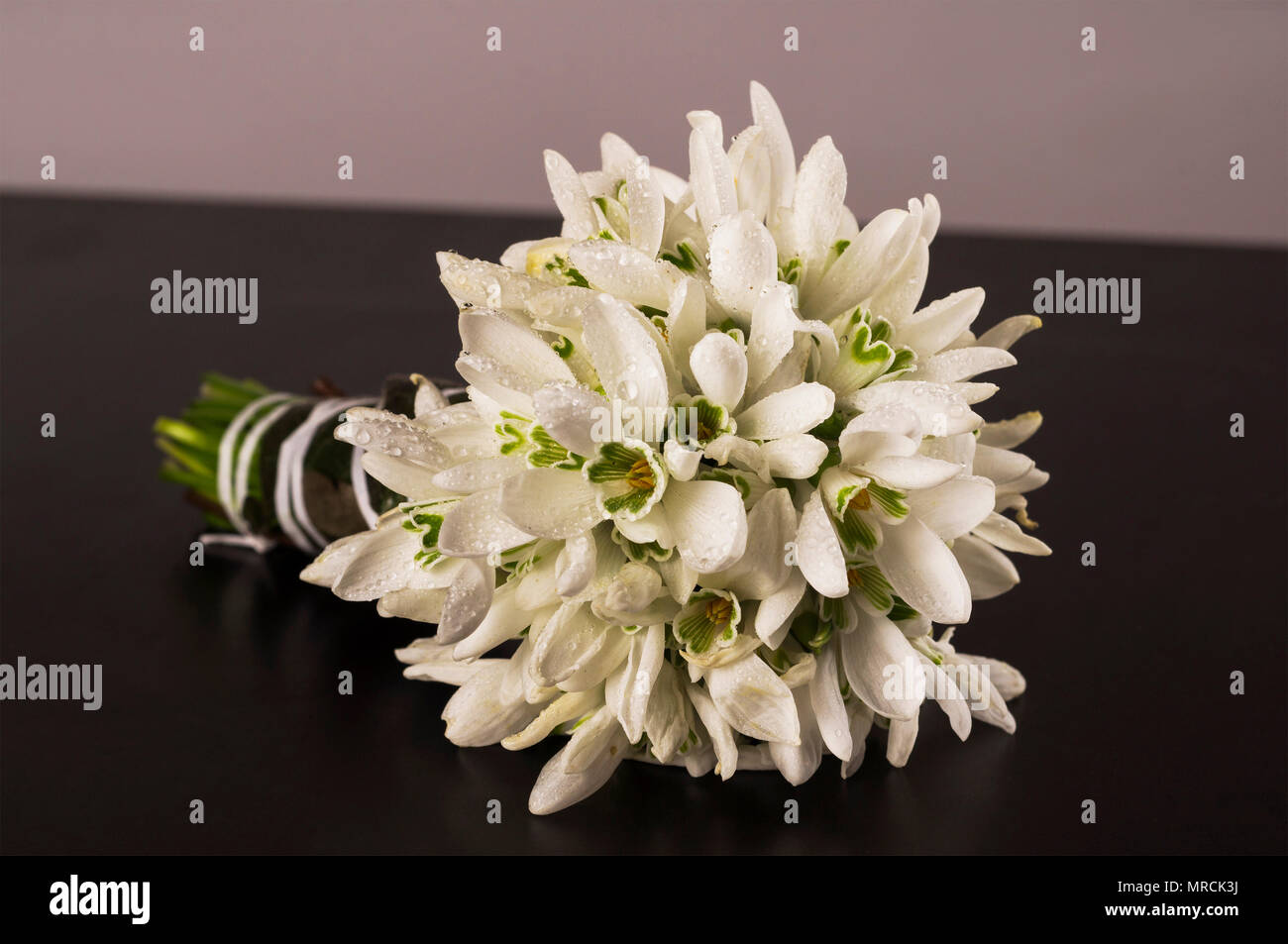 Bouquet of snowdrops close-up on a black background Stock Photo - Alamy