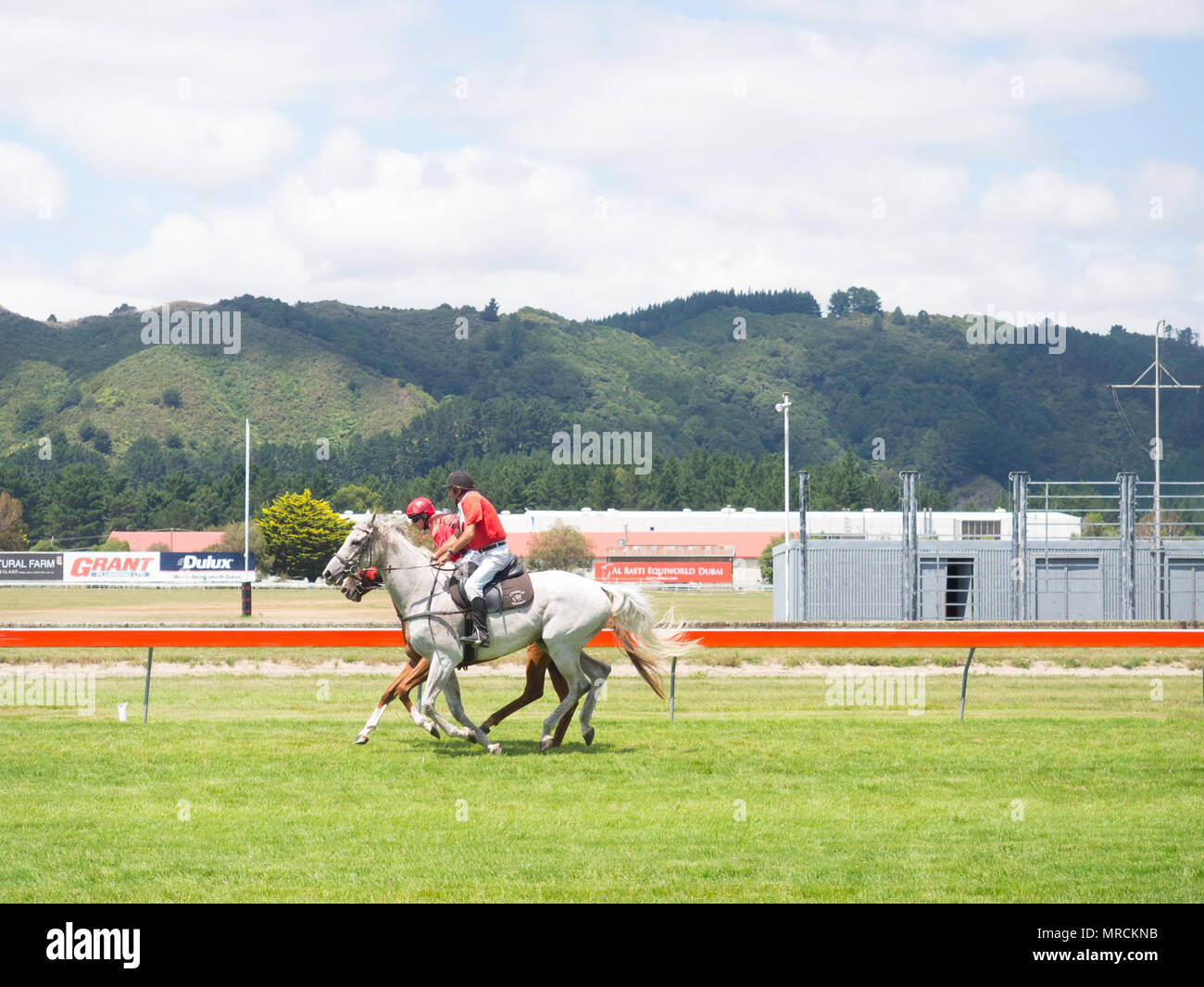 Two horses racing hi-res stock photography and images - Alamy