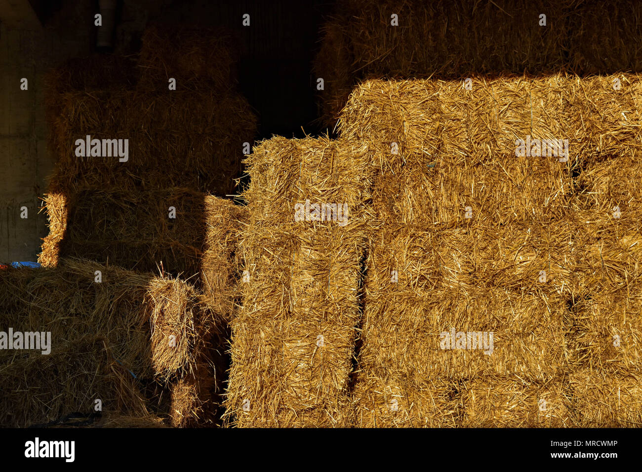 The hay storage shed full of bales hay on farm Stock Photo - Alamy