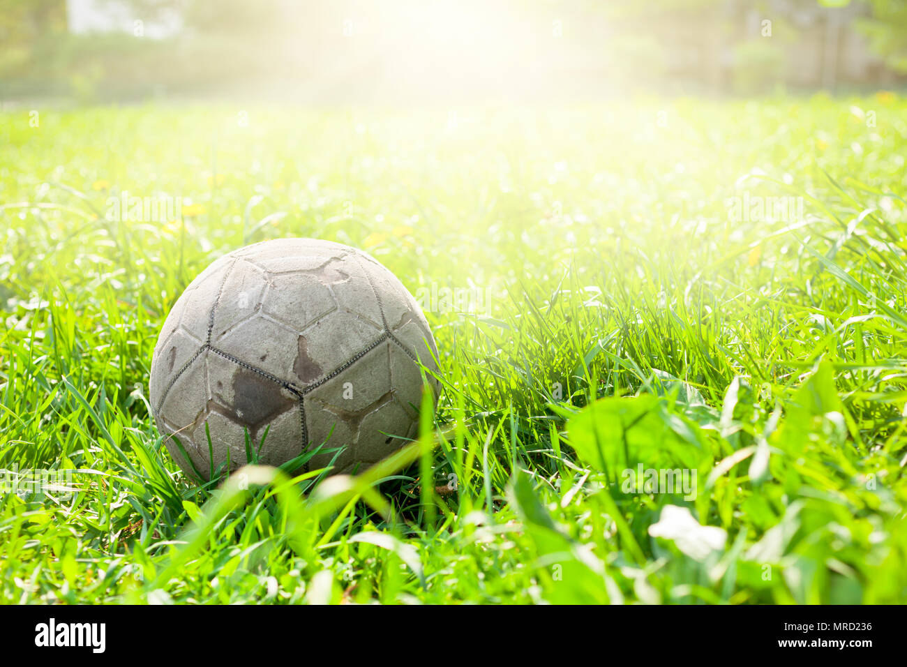 Old soccer ball forgotten in the green grass field. The football ...